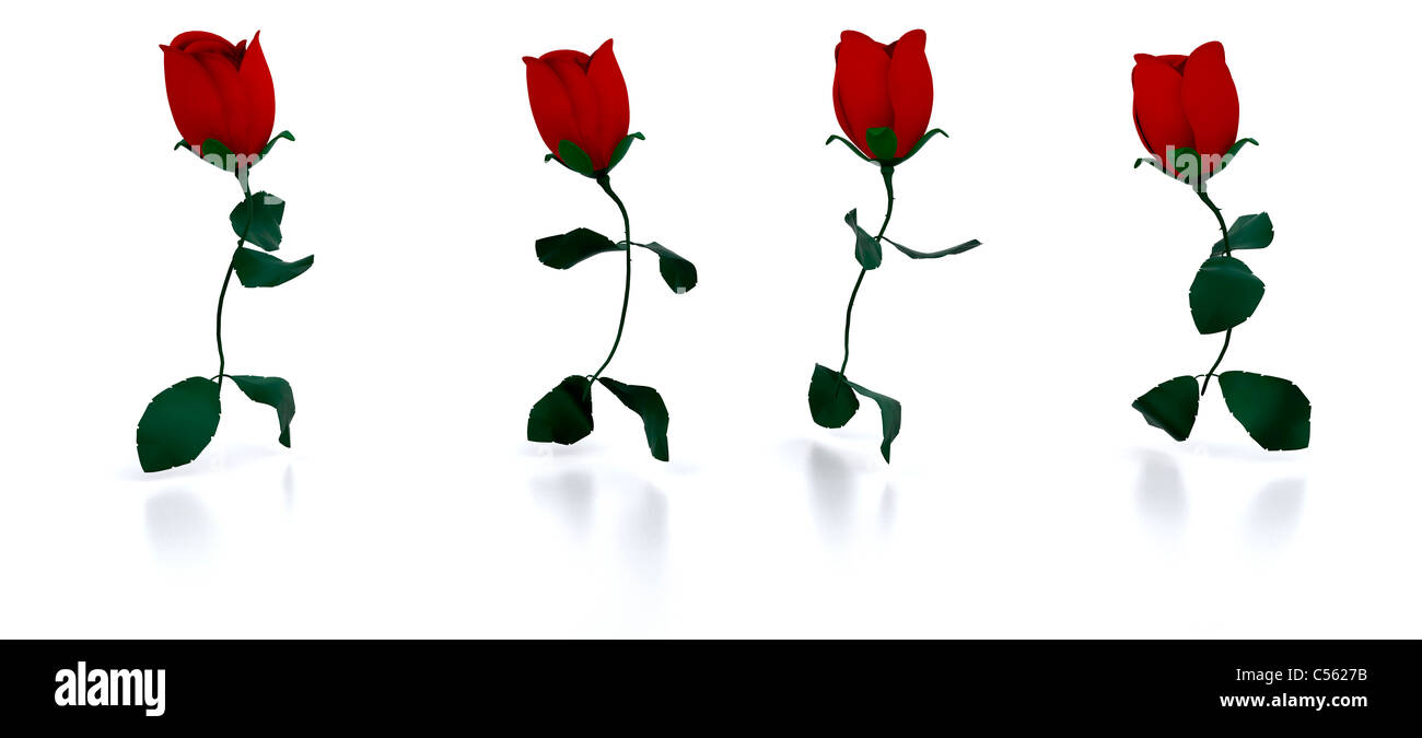 3D render of roses running Stock Photo - Alamy