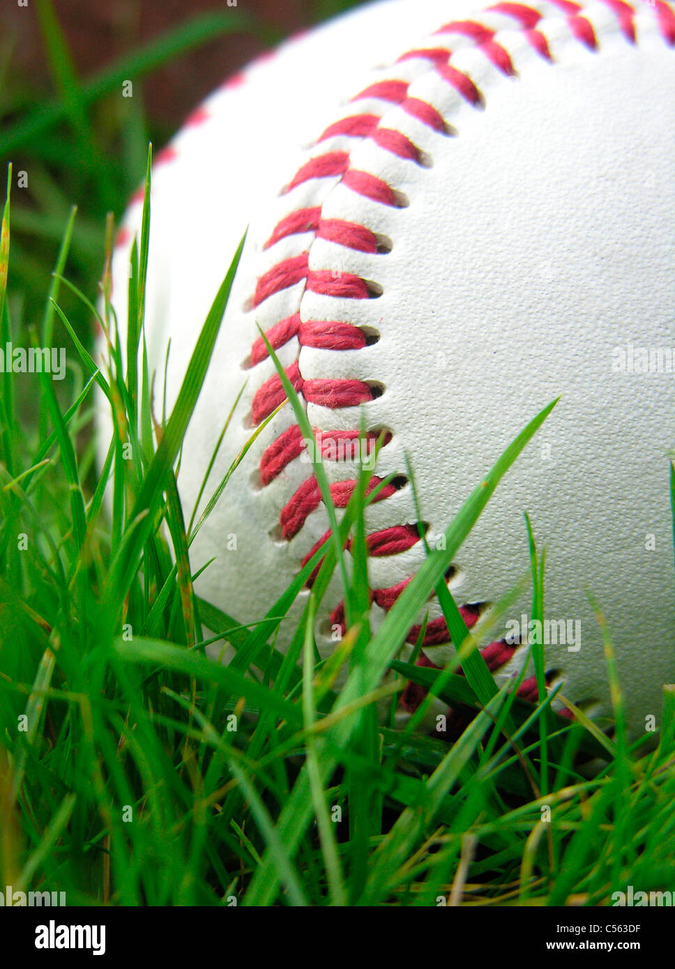 Baseball and nature hi-res stock photography and images - Alamy