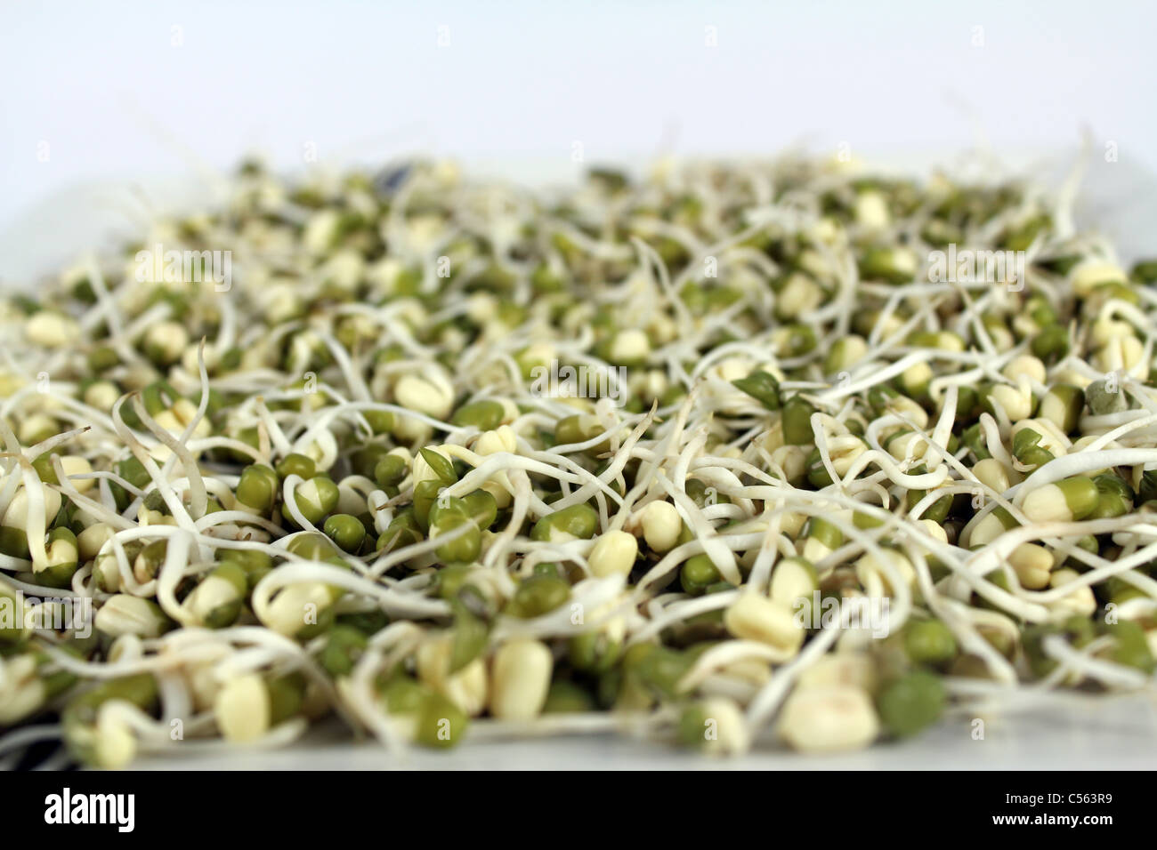 Green gram hi-res stock photography and images - Alamy