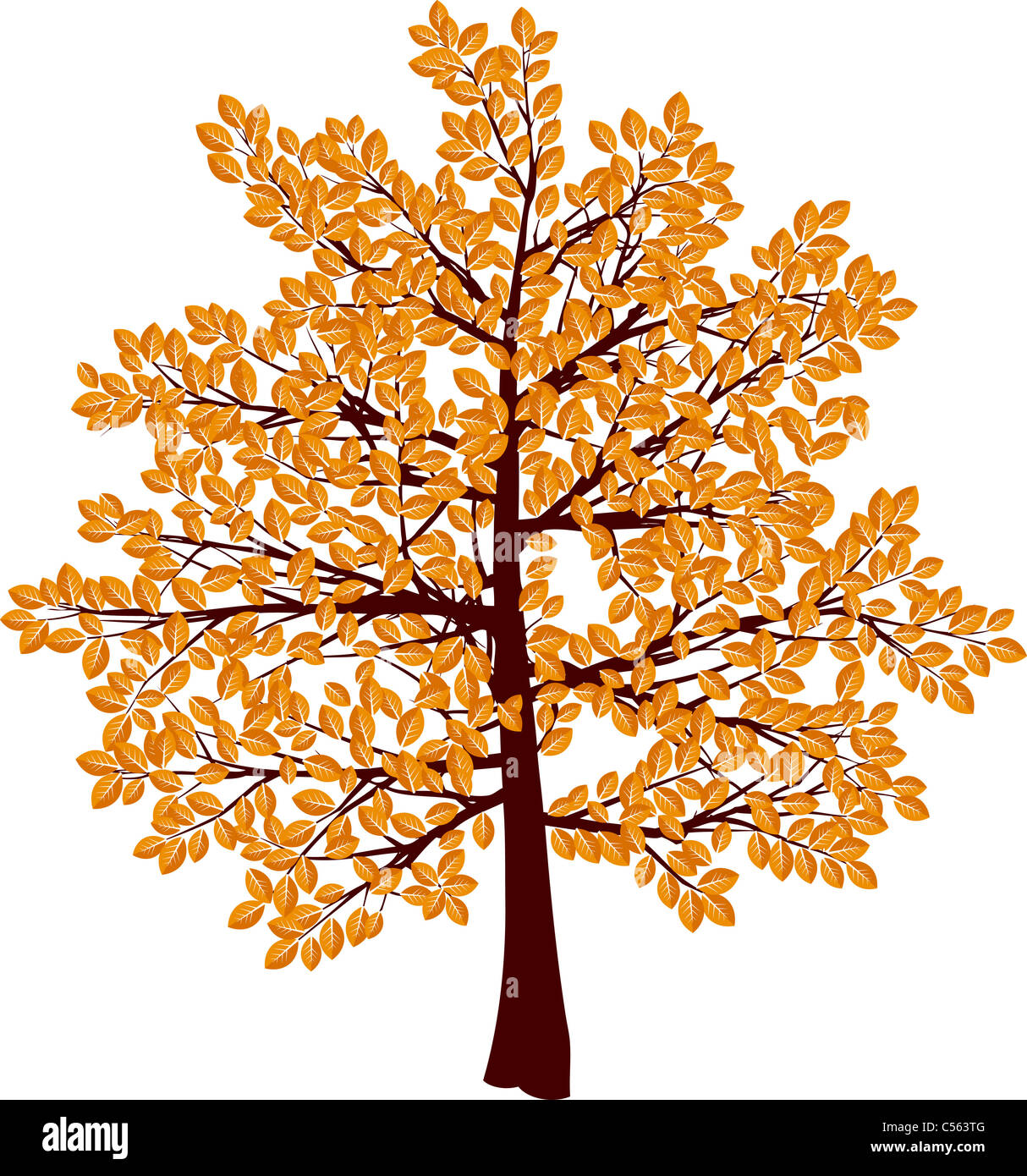 illustration of a tree with autumn leaves Stock Photo - Alamy