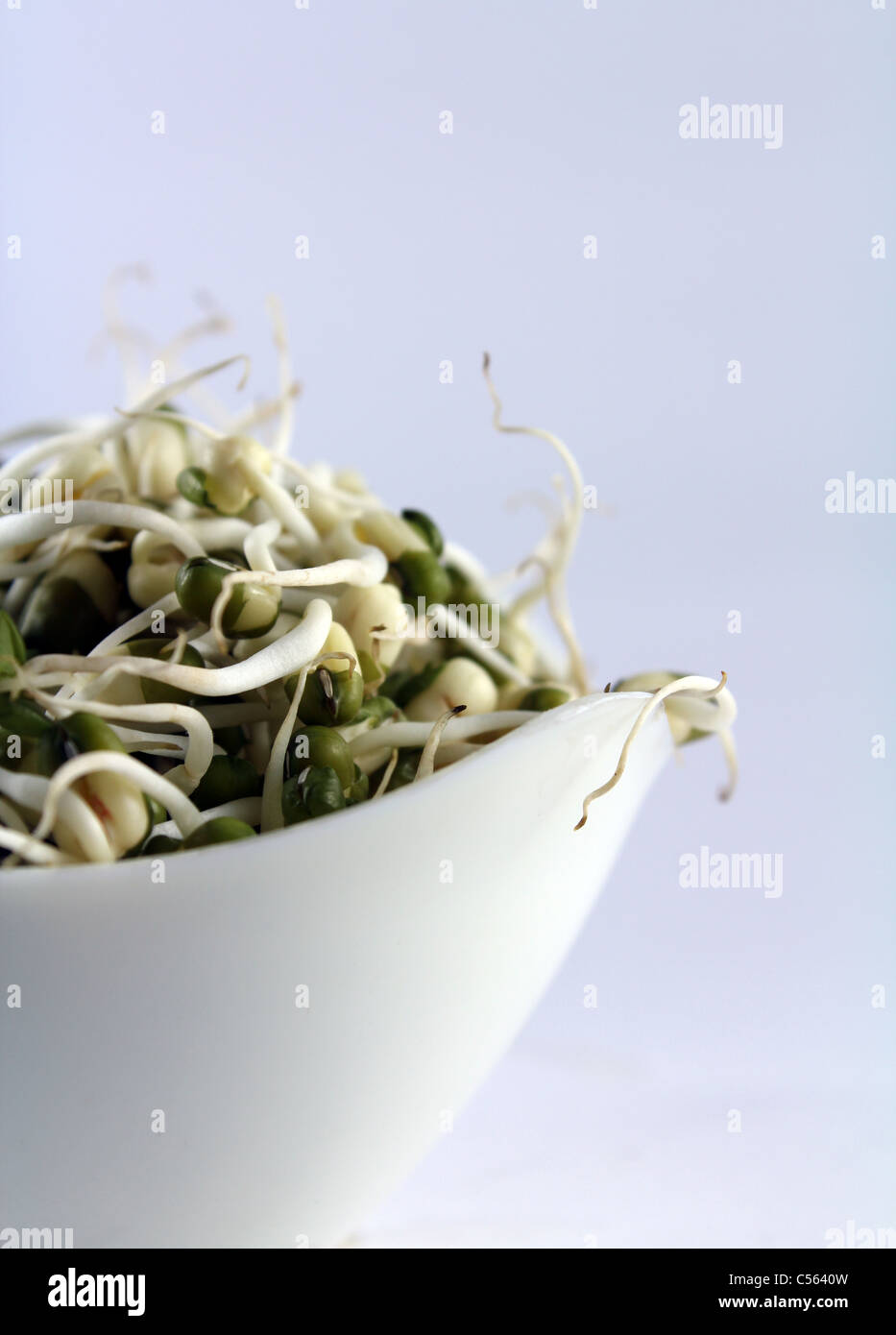 Sprouted green gram Stock Photo - Alamy