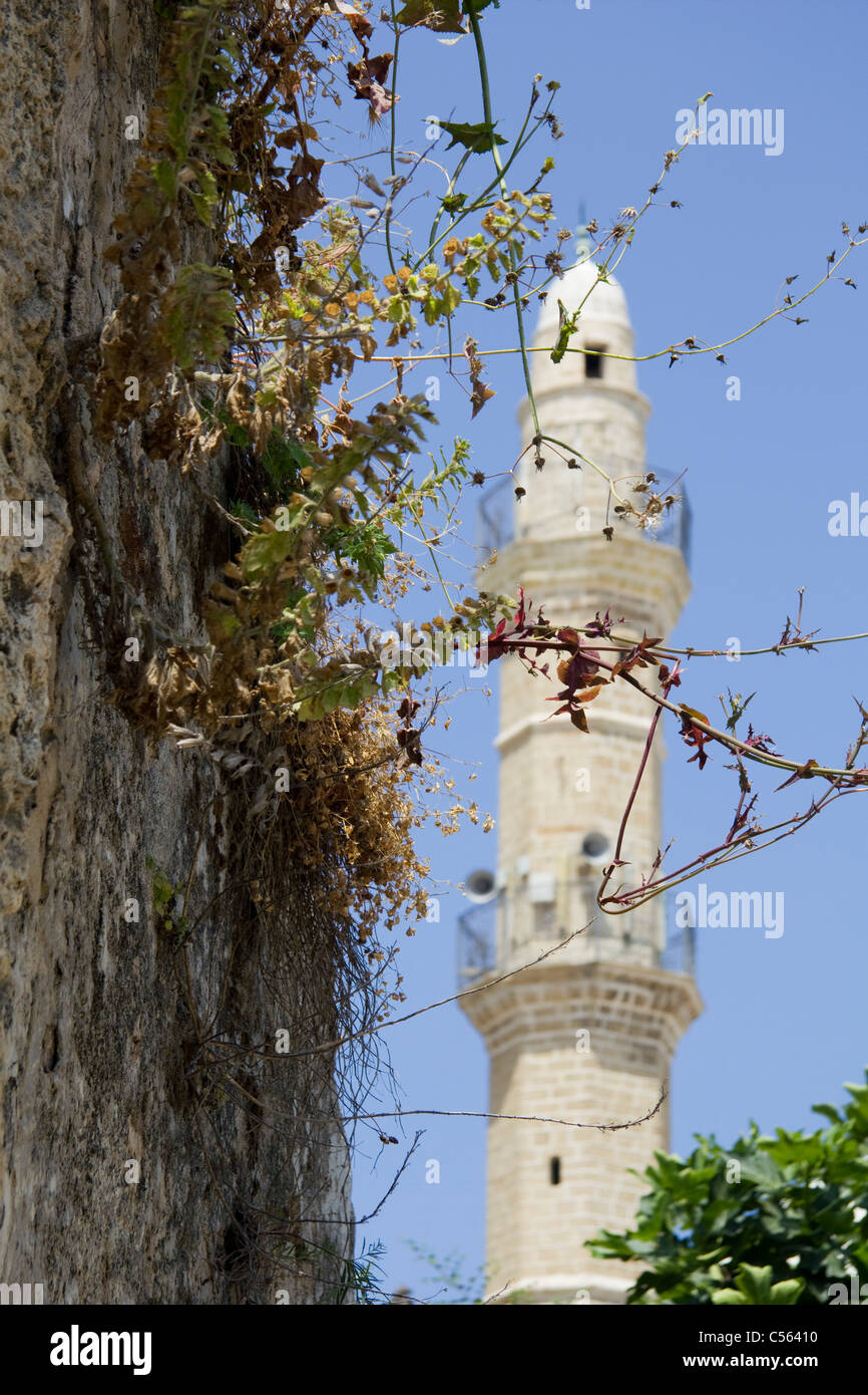 Great mosque of jaffa hi-res stock photography and images - Alamy