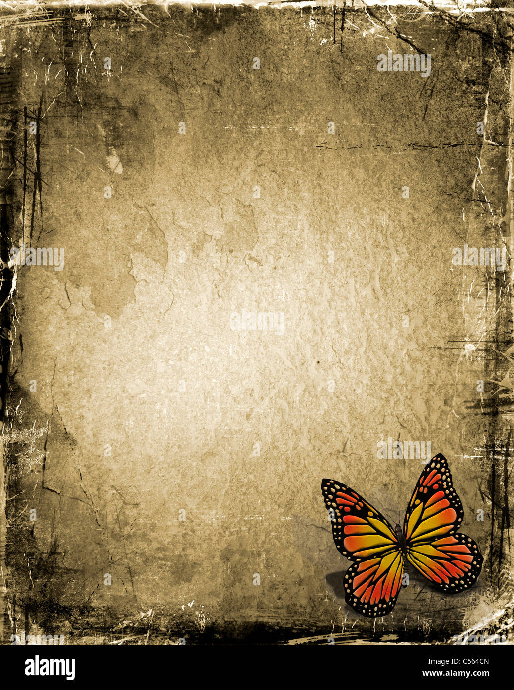 Butterfly on grunge background Stock Photo - Alamy