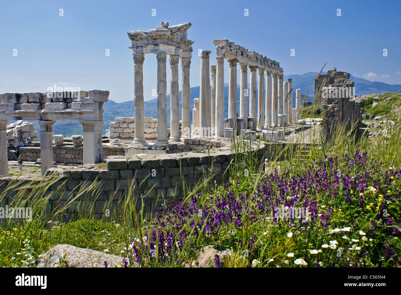 Temple of Trajan at Pergamum, Bergama, Turkey Stock Photo - Alamy