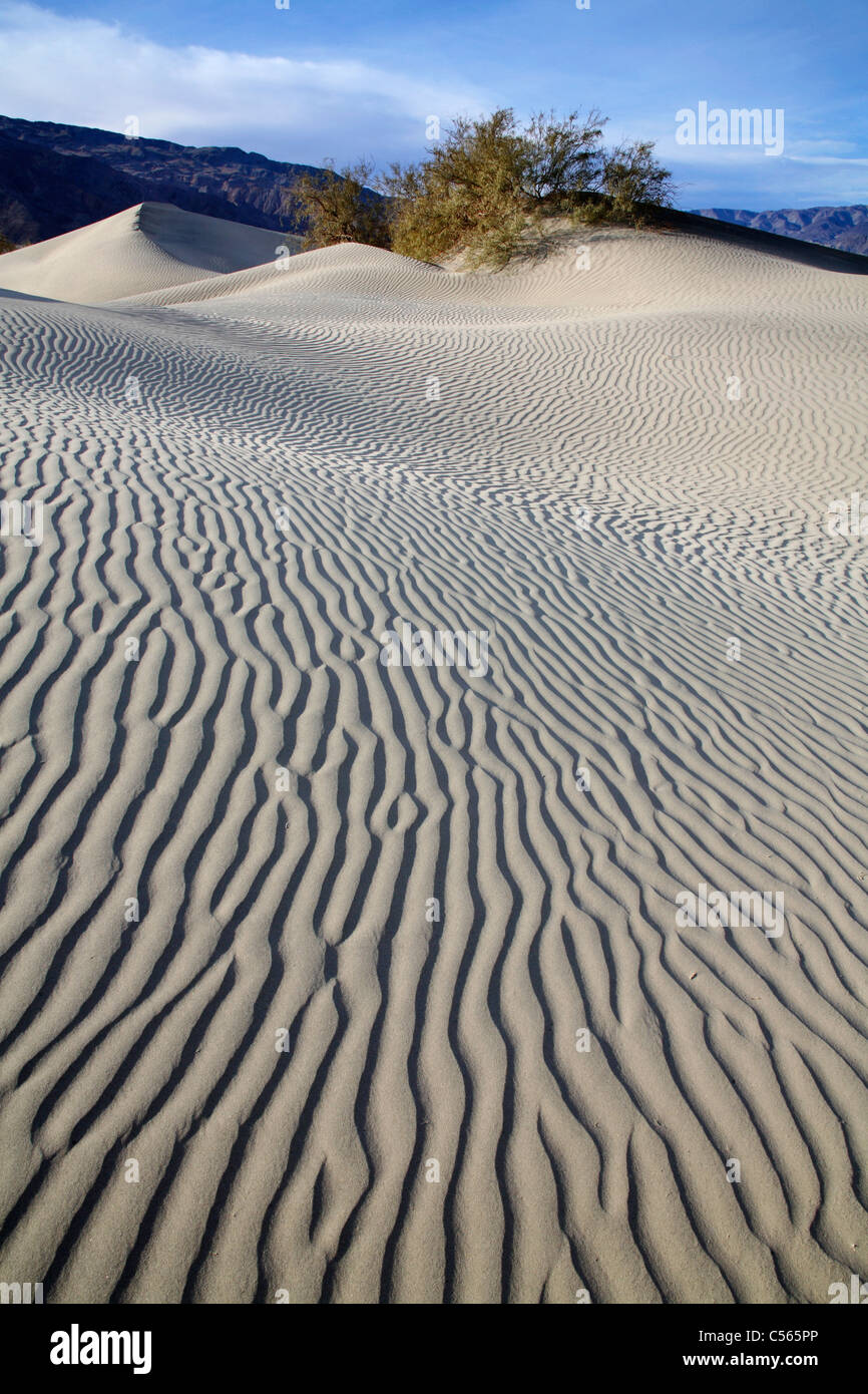 Sand Ripples And Dunes In Death Valley National Park, California, USA ...