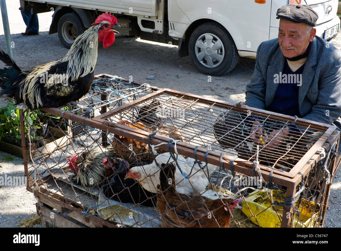 Rooster Man High Resolution Stock Photography and Images - Alamy