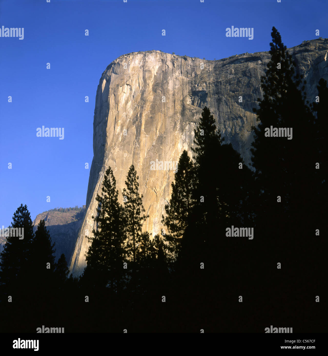 El capitan yosemite dawn wall hi-res stock photography and images - Alamy
