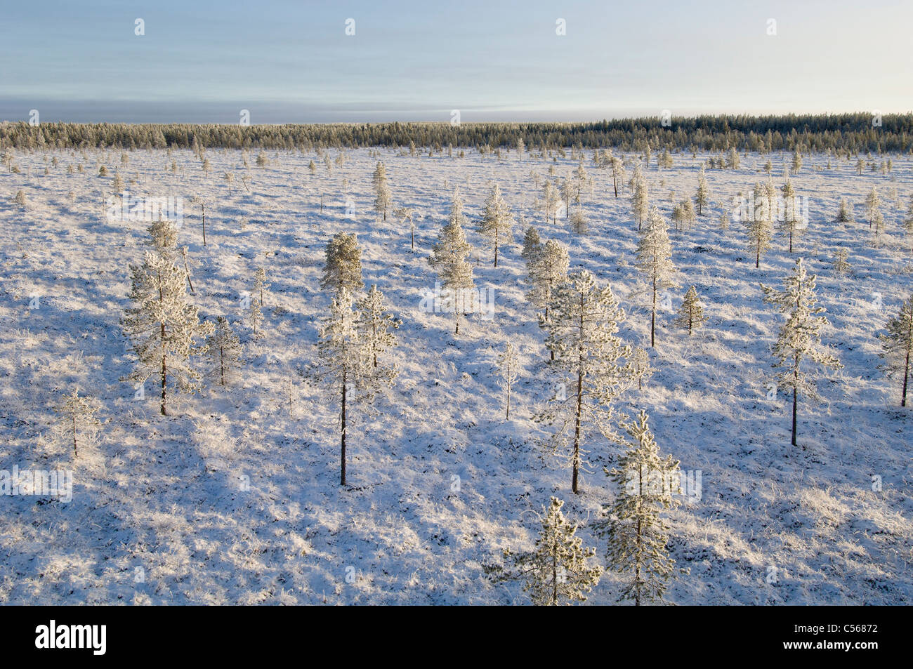 Beginning of the winter Stock Photo - Alamy