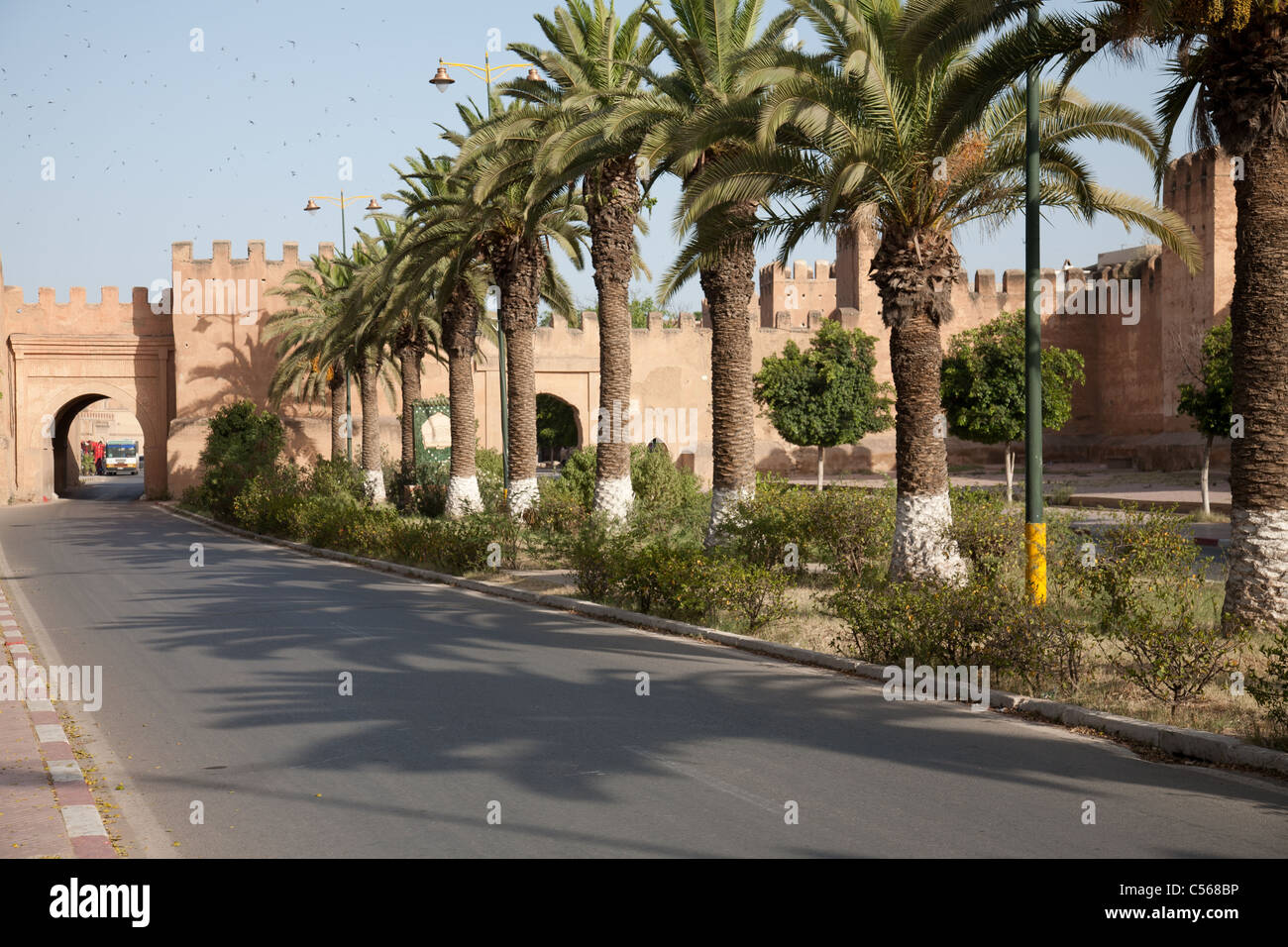 Bab el Kasbah with an avenue of orange trees main gate into Taroudant ...
