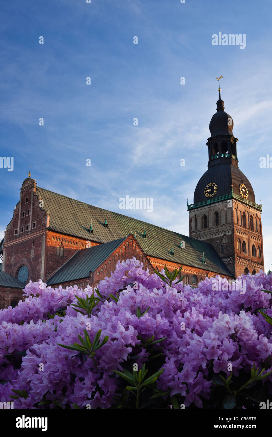 Dome cathedral in Riga, Latvia Stock Photo - Alamy
