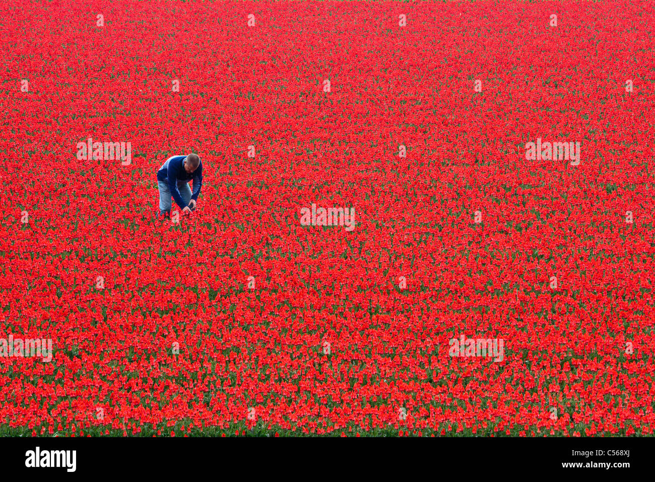 Farmer fields hi-res stock photography and images - Alamy