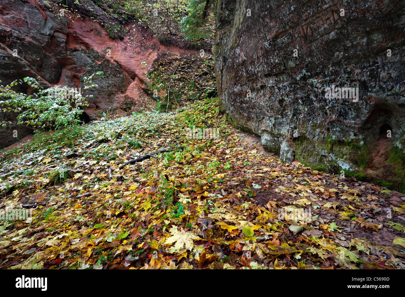Ravens ravine and cave in the Gauja National Park Stock Photo - Alamy