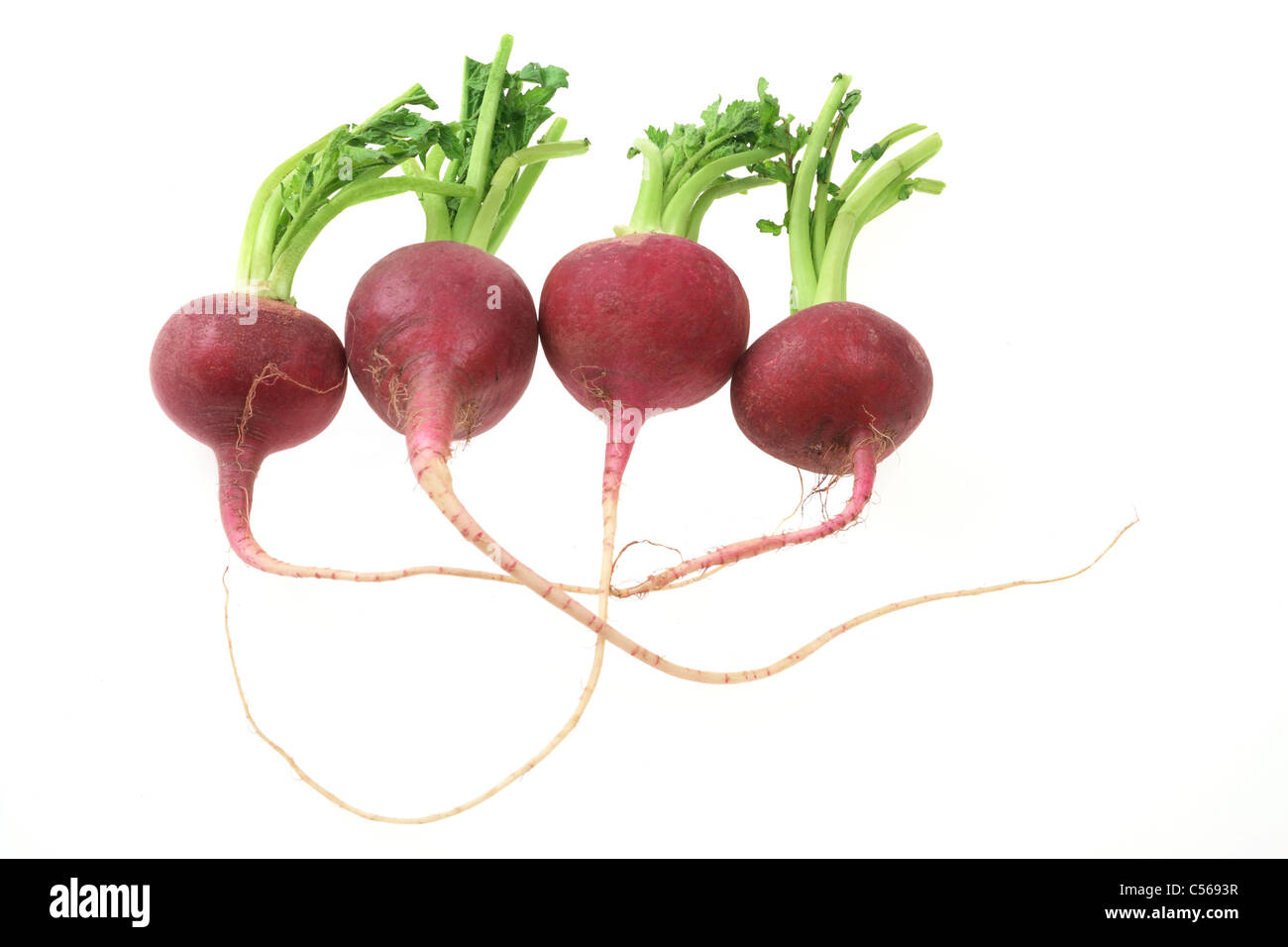 Radish radishes vegetable food hi-res stock photography and images - Alamy