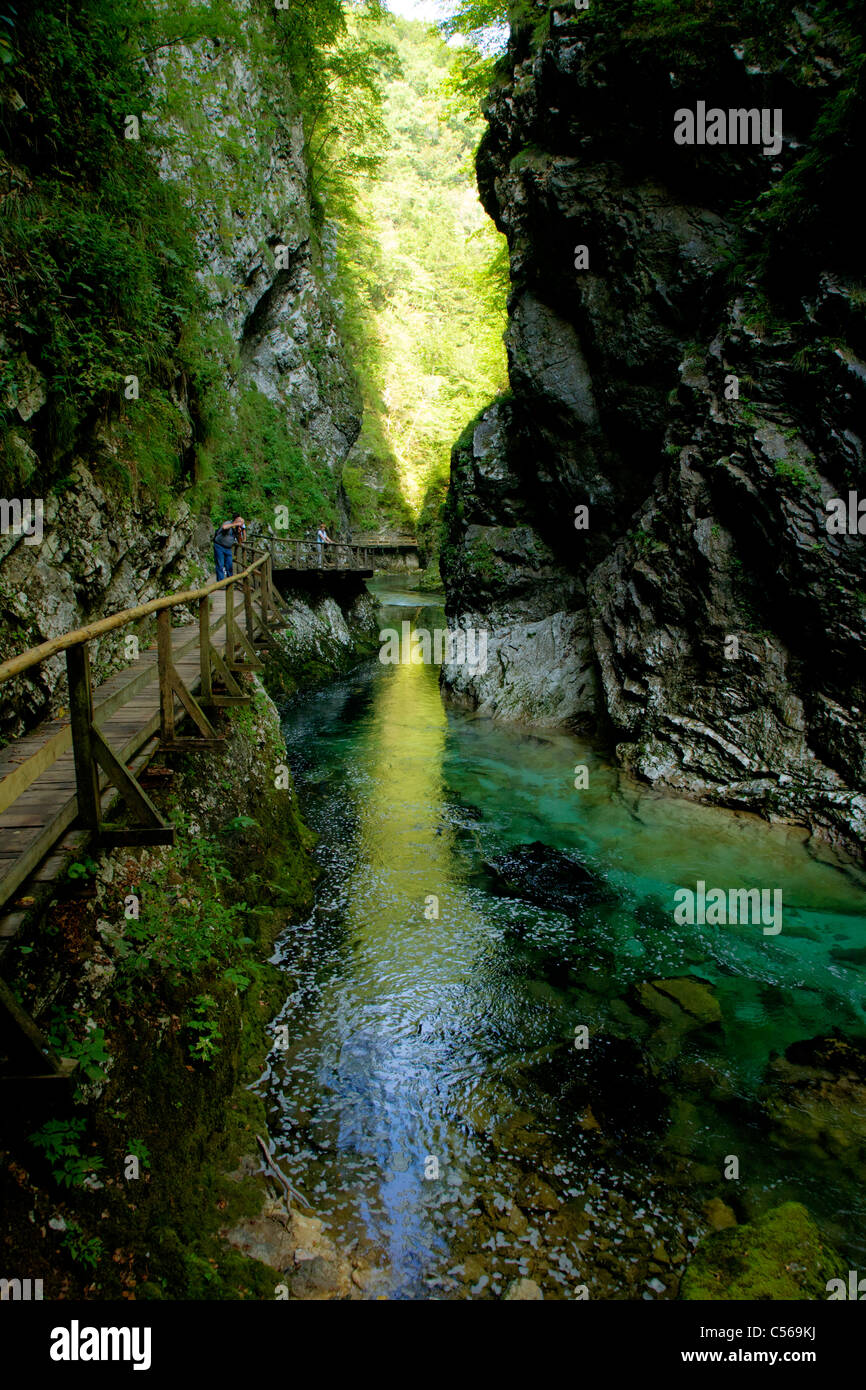 The Vintgar gorge, Gorje, near Bled, Slovenia Stock Photo - Alamy