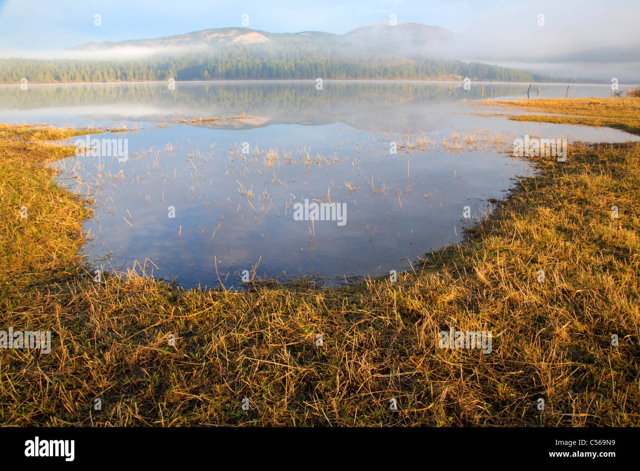 Palsko Lake, Pivka lakes, Slovenia Stock Photo - Alamy