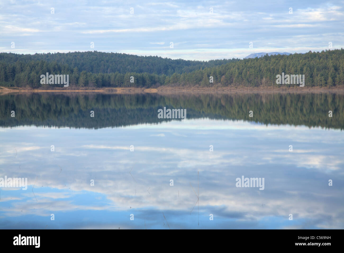Palsko Lake, Pivka lakes, Slovenia Stock Photo - Alamy