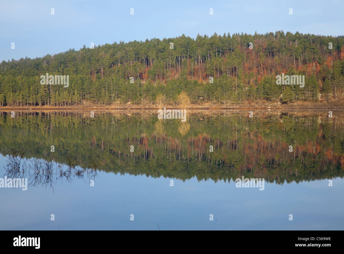 Palsko Lake, Pivka lakes, Slovenia Stock Photo - Alamy
