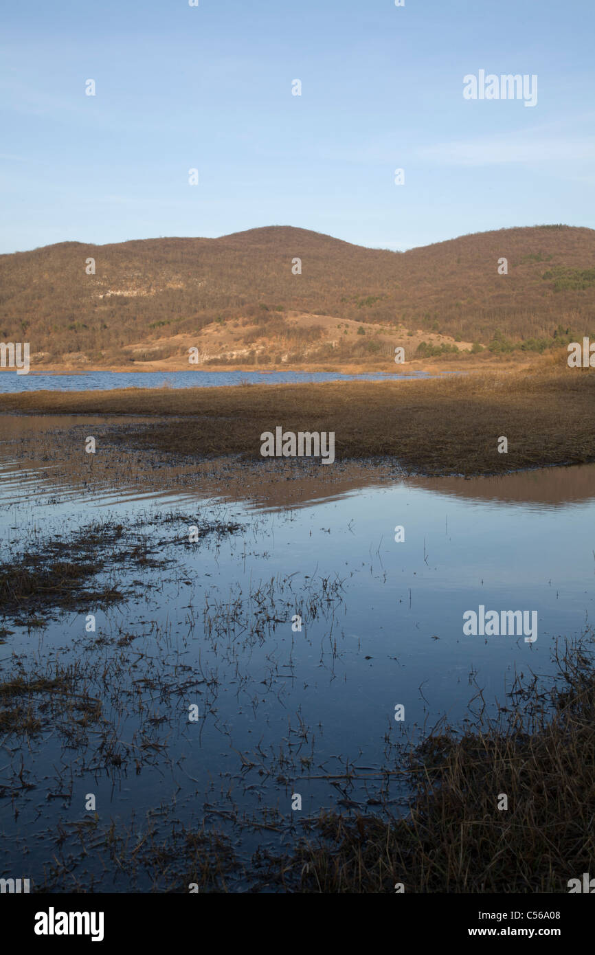 Palsko Lake, Pivka lakes, Slovenia Stock Photo - Alamy