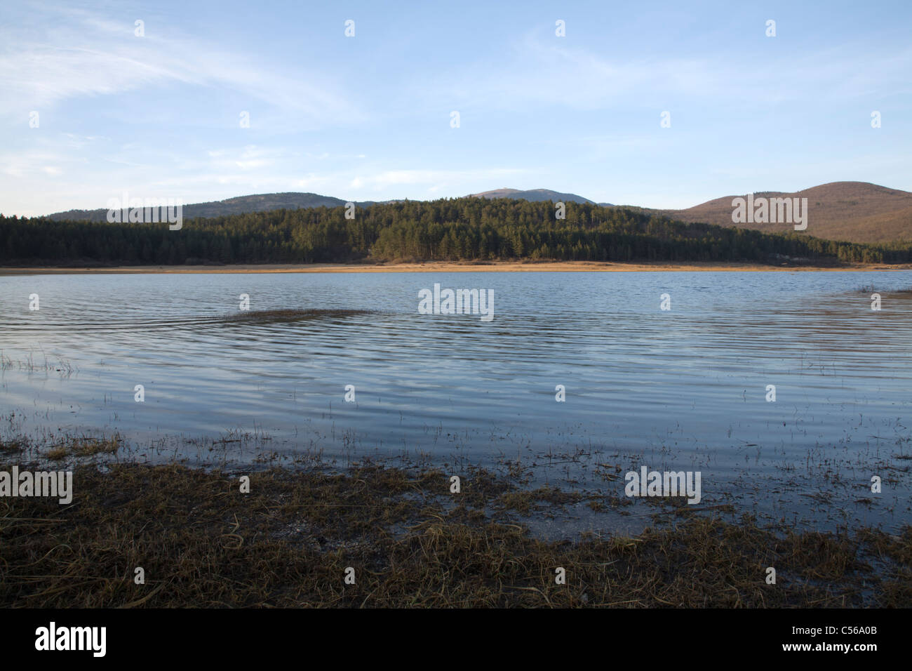 Palsko Lake, Pivka lakes, Slovenia Stock Photo - Alamy