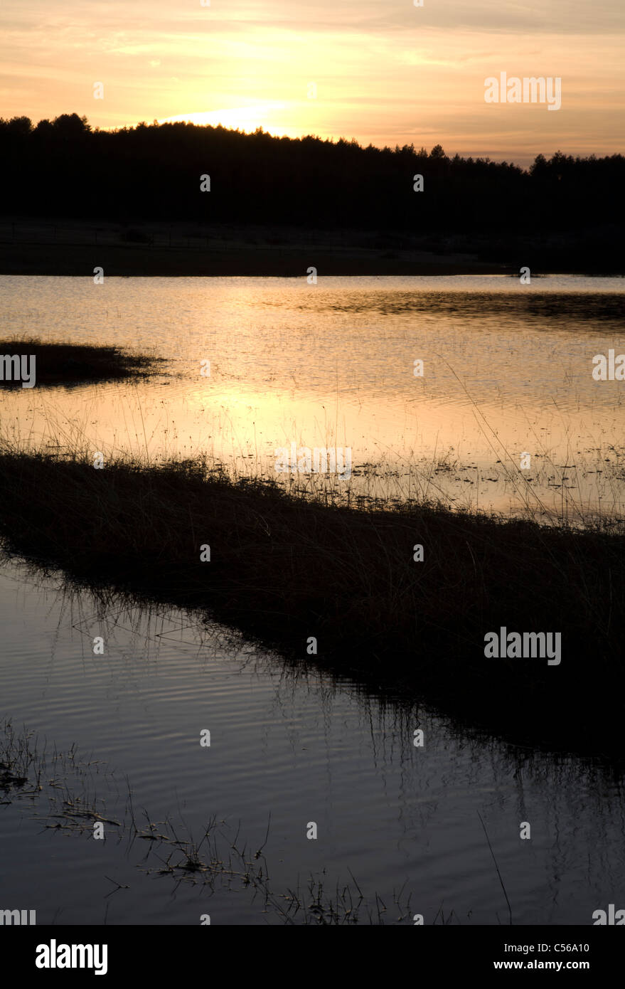 Palsko Lake, Pivka lakes, Slovenia Stock Photo - Alamy