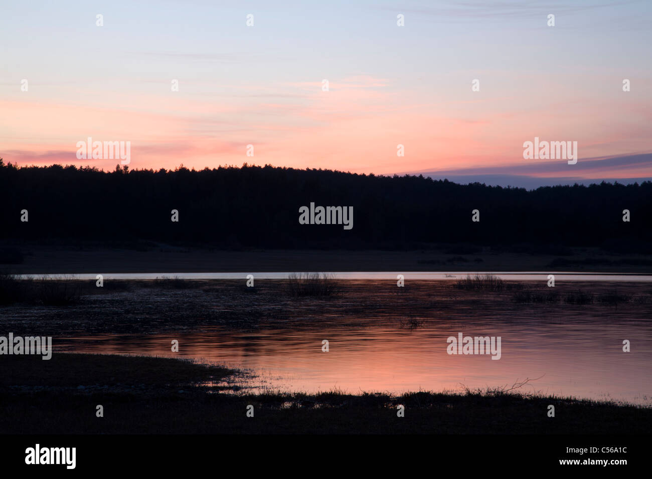 Palsko Lake, Pivka lakes, Slovenia Stock Photo - Alamy