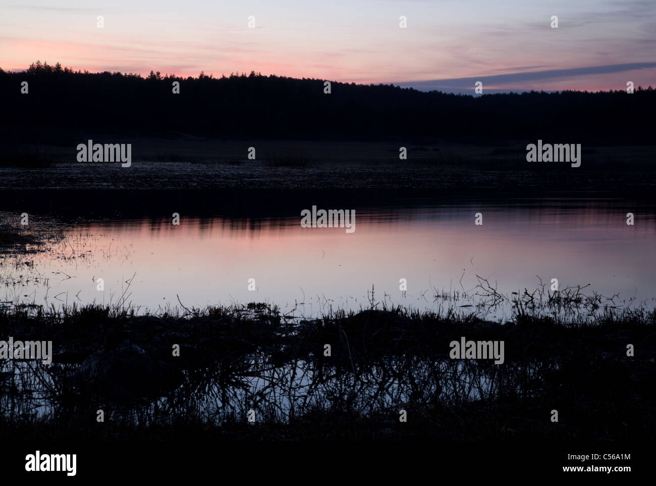 Palsko Lake, Pivka lakes, Slovenia Stock Photo - Alamy