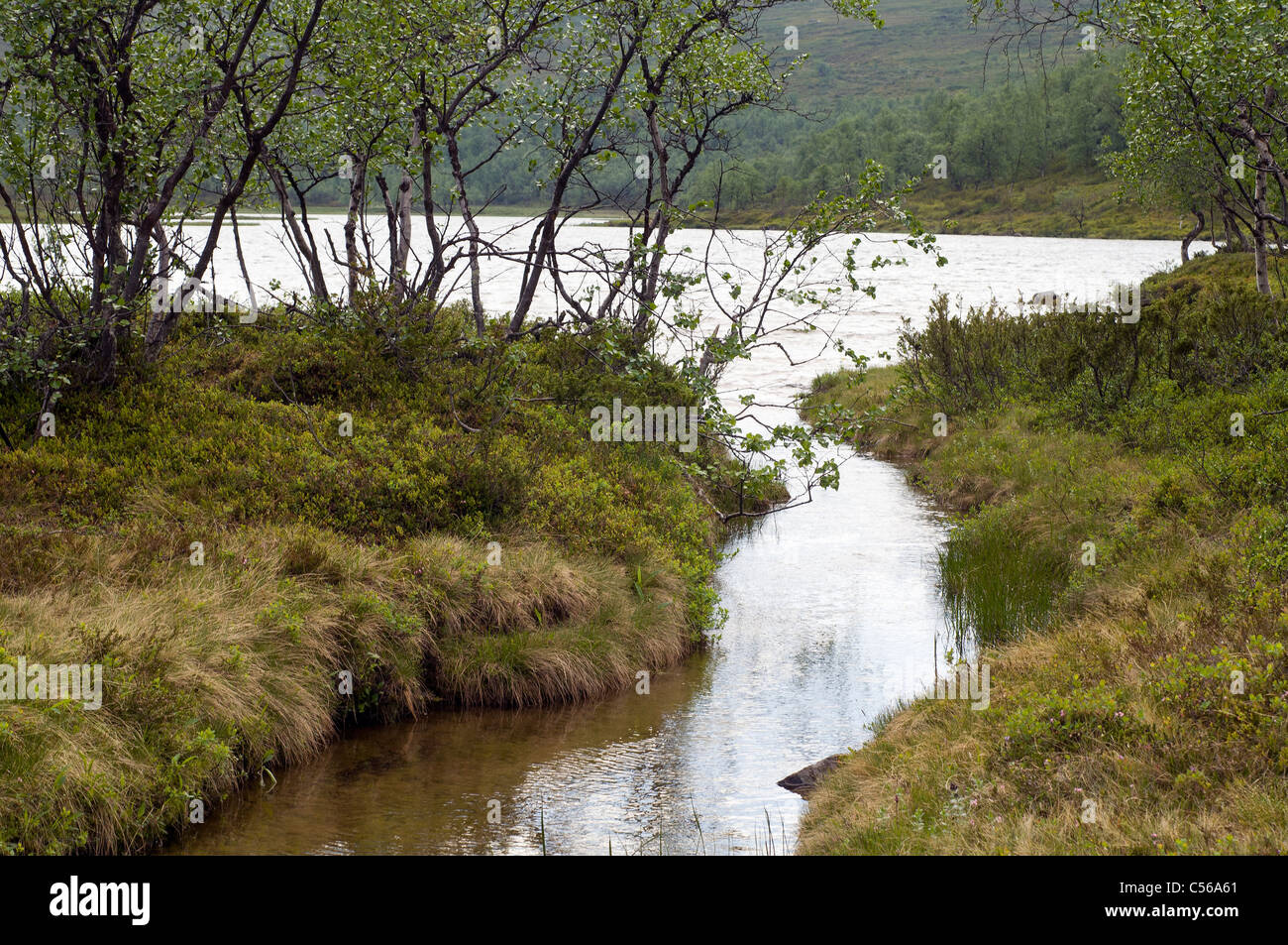 Rivulet lake hi-res stock photography and images - Alamy