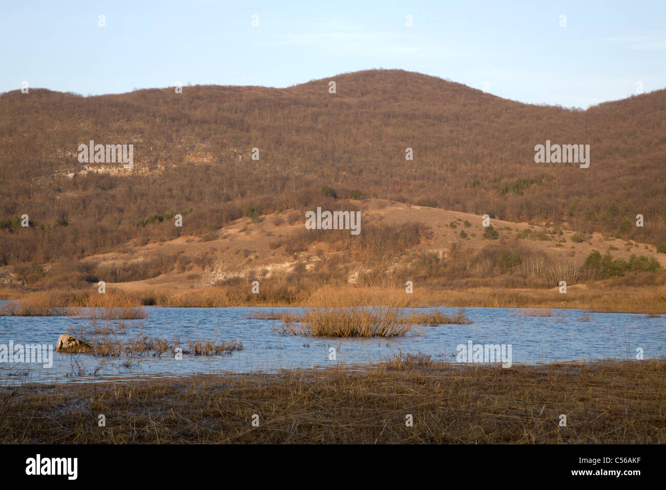 Palsko Lake, Pivka lakes, Slovenia Stock Photo - Alamy
