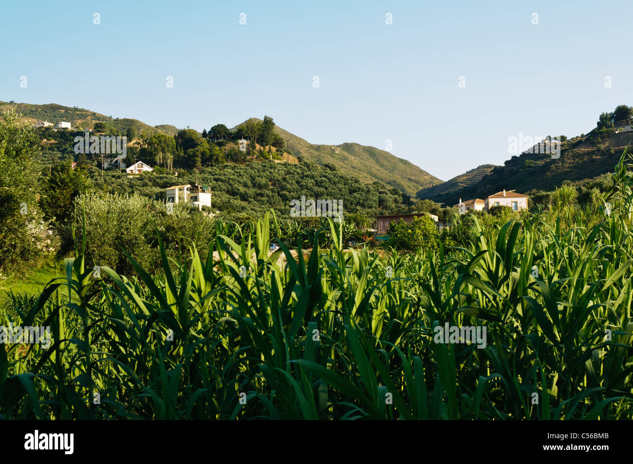 Rural location hi-res stock photography and images - Alamy