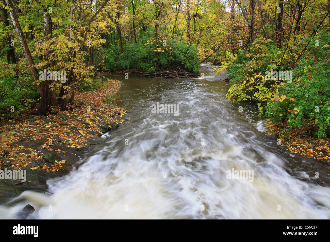 Fast moving water stream hi-res stock photography and images - Alamy