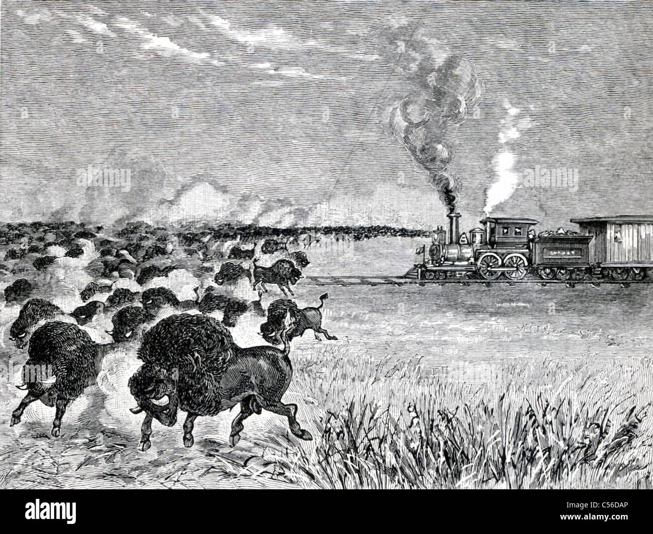 When the Union Pacific Railroad first went into operation in the 1860s ...