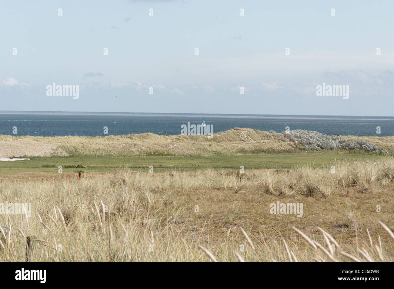 Küstenlandschaft auf Texel - coast at Tessel Stock Photo - Alamy