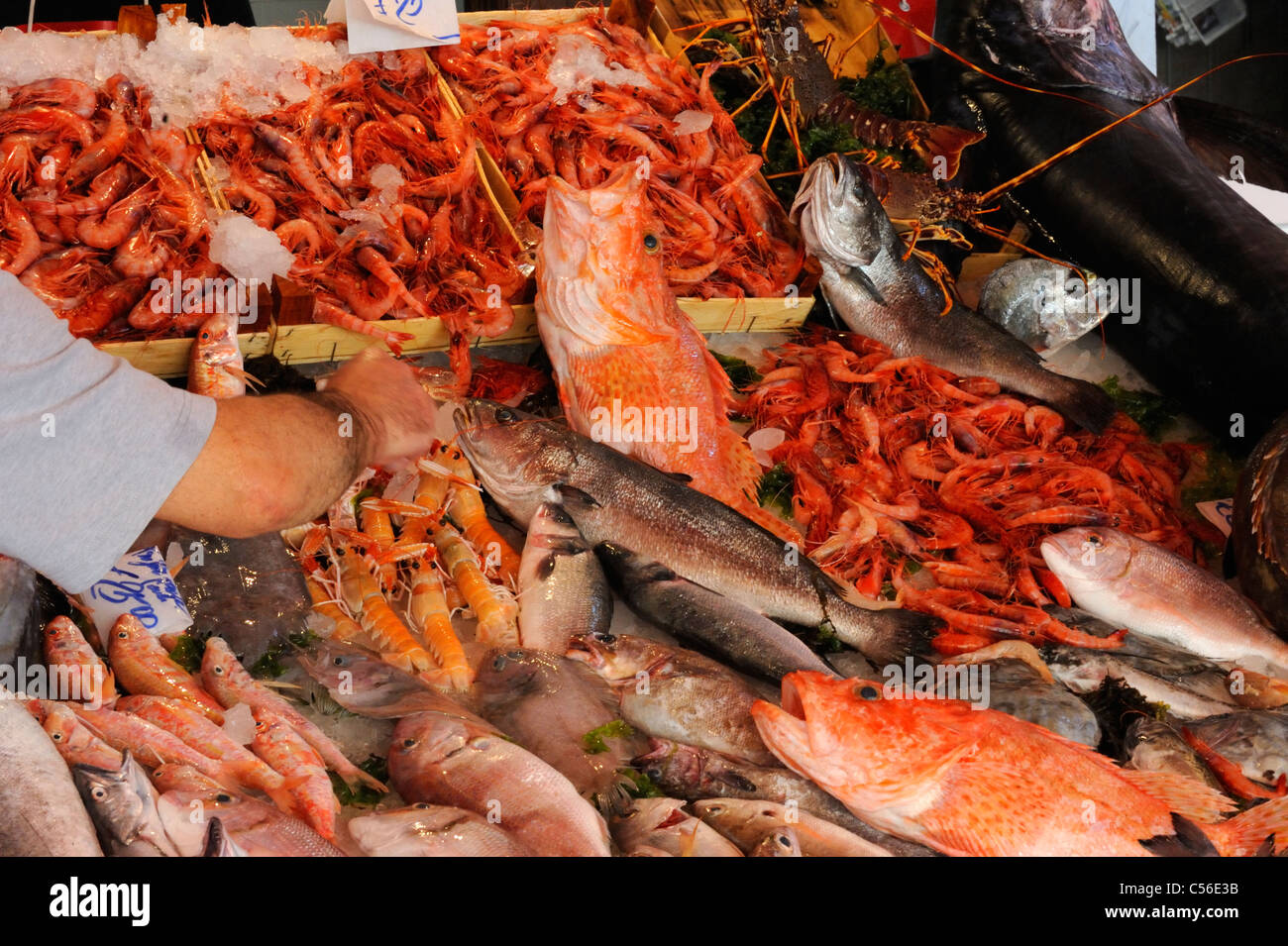 A fish stall on Mercato della Vucciria in Palermo Stock Photo - Alamy