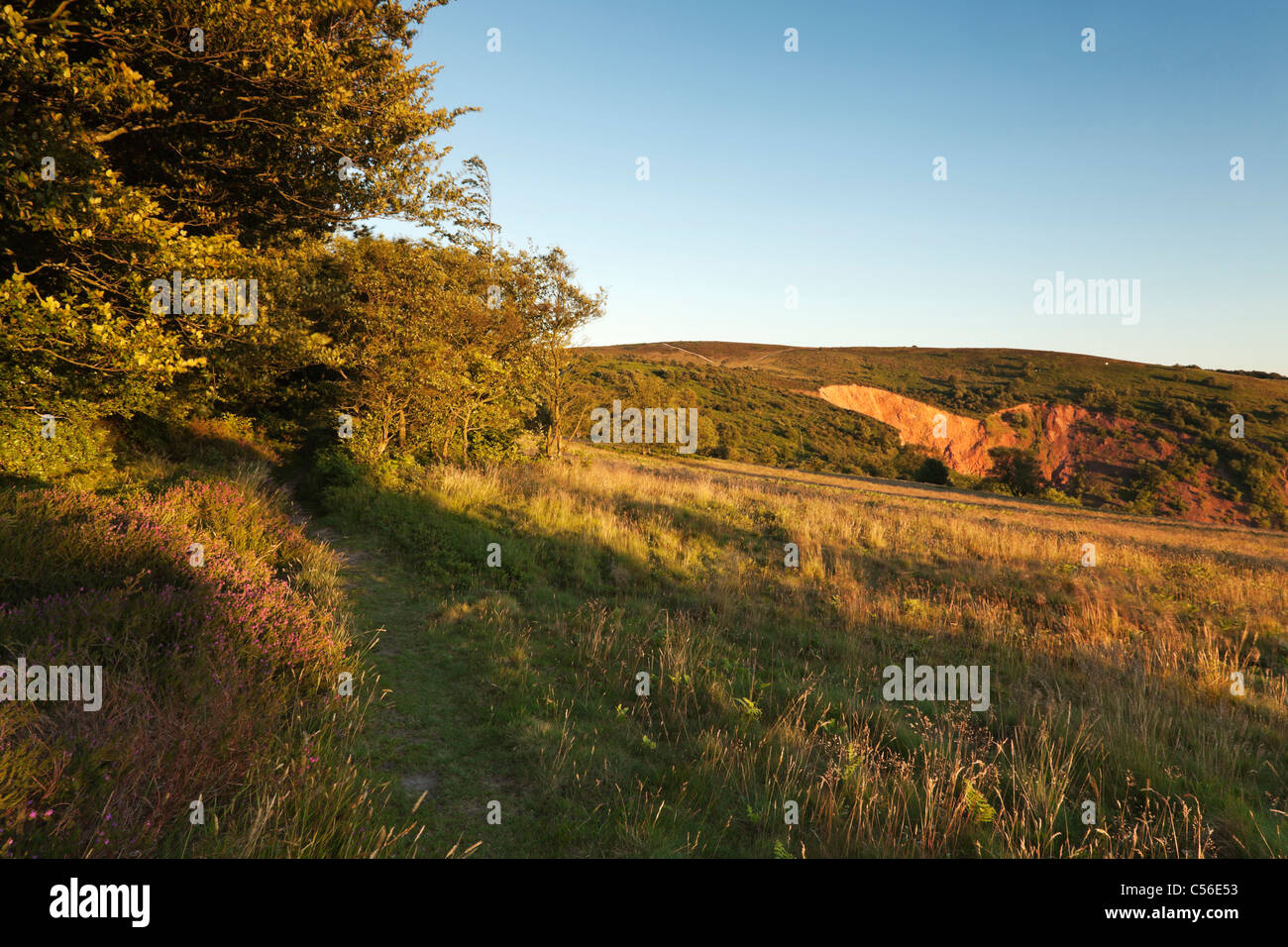 Triscombe quarry hi-res stock photography and images - Alamy