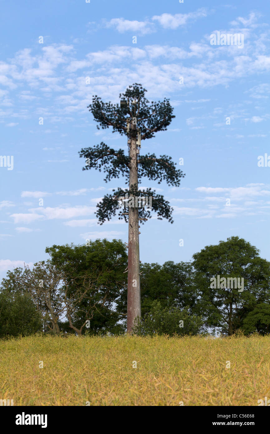 Telecommunications mast made to look like a tree Stock Photo - Alamy