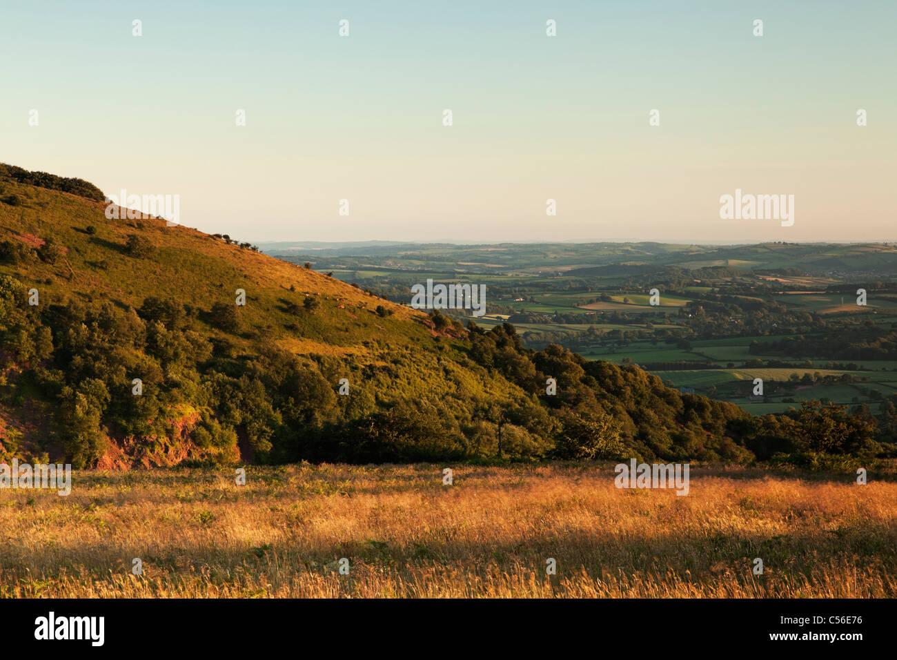 Triscombe road hi-res stock photography and images - Alamy