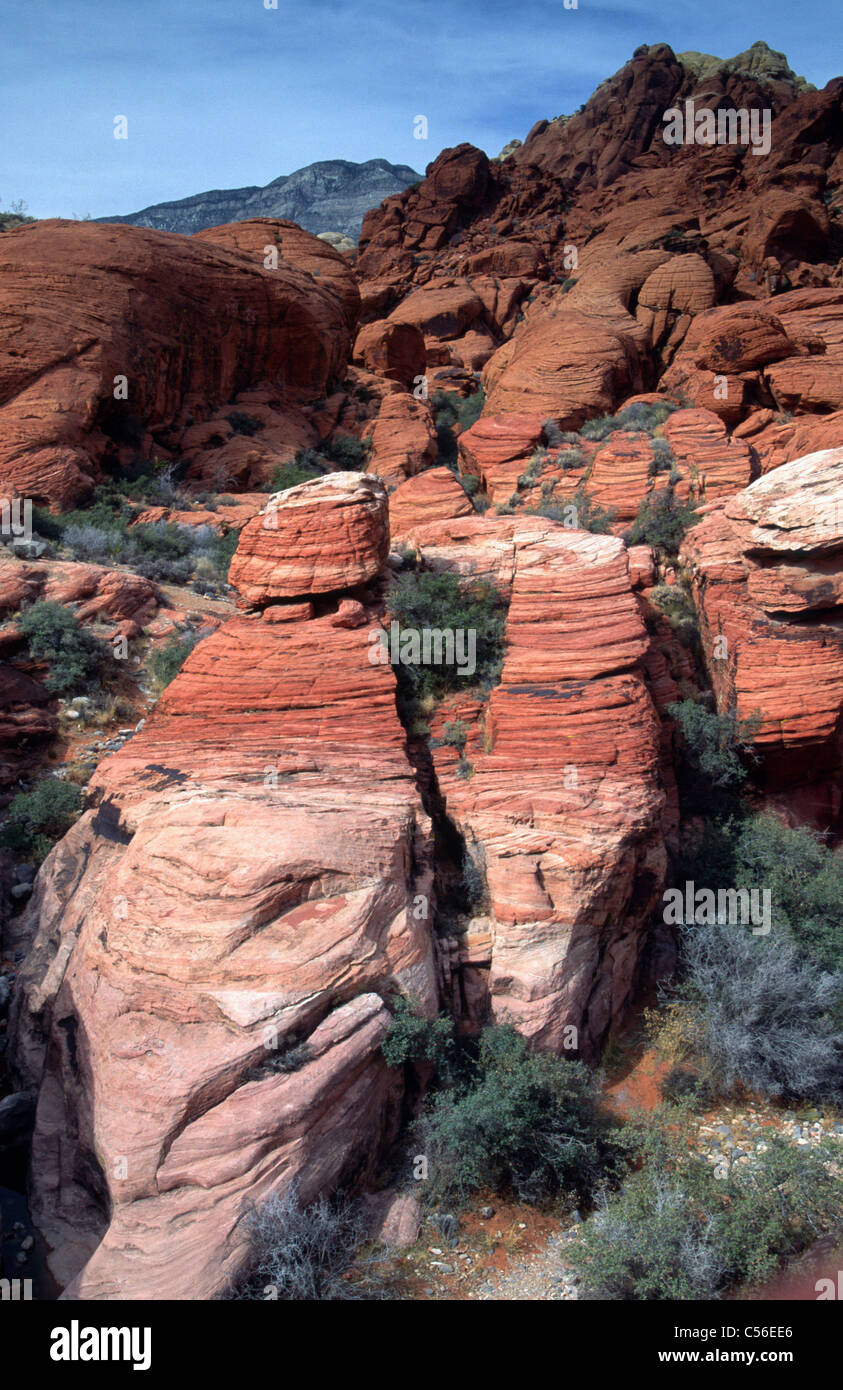 Red Rock Canyon, Nevada, USA Stock Photo - Alamy