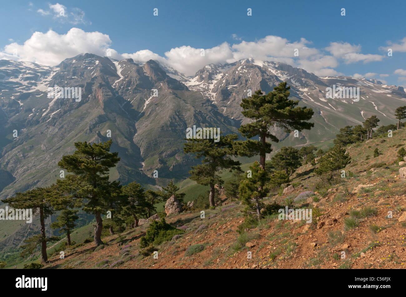Spring time at Taurus Mountains(Bolkar Mountains) near Pozanti,Adana ...