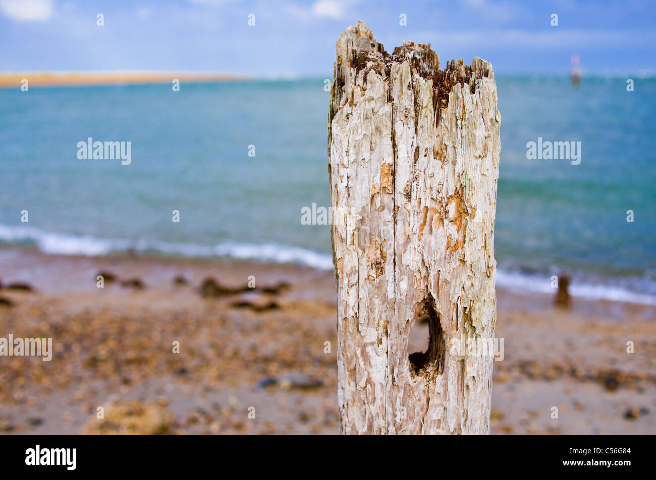 A worn, weathered post with a hole through it, on a beach with the ...