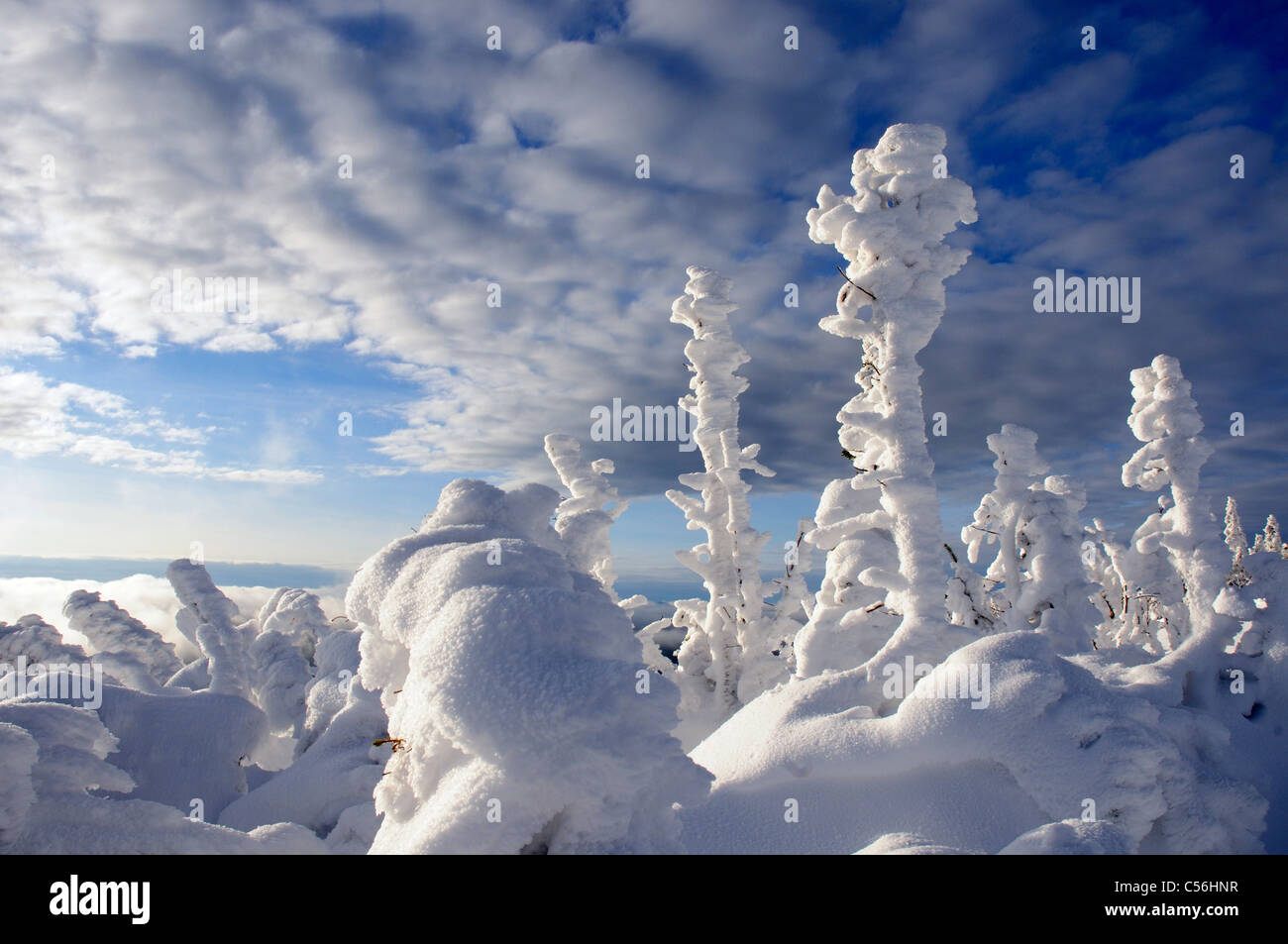 Winter in the Chi Chocs, Parc de la Gaspesie, Quebec Stock Photo - Alamy