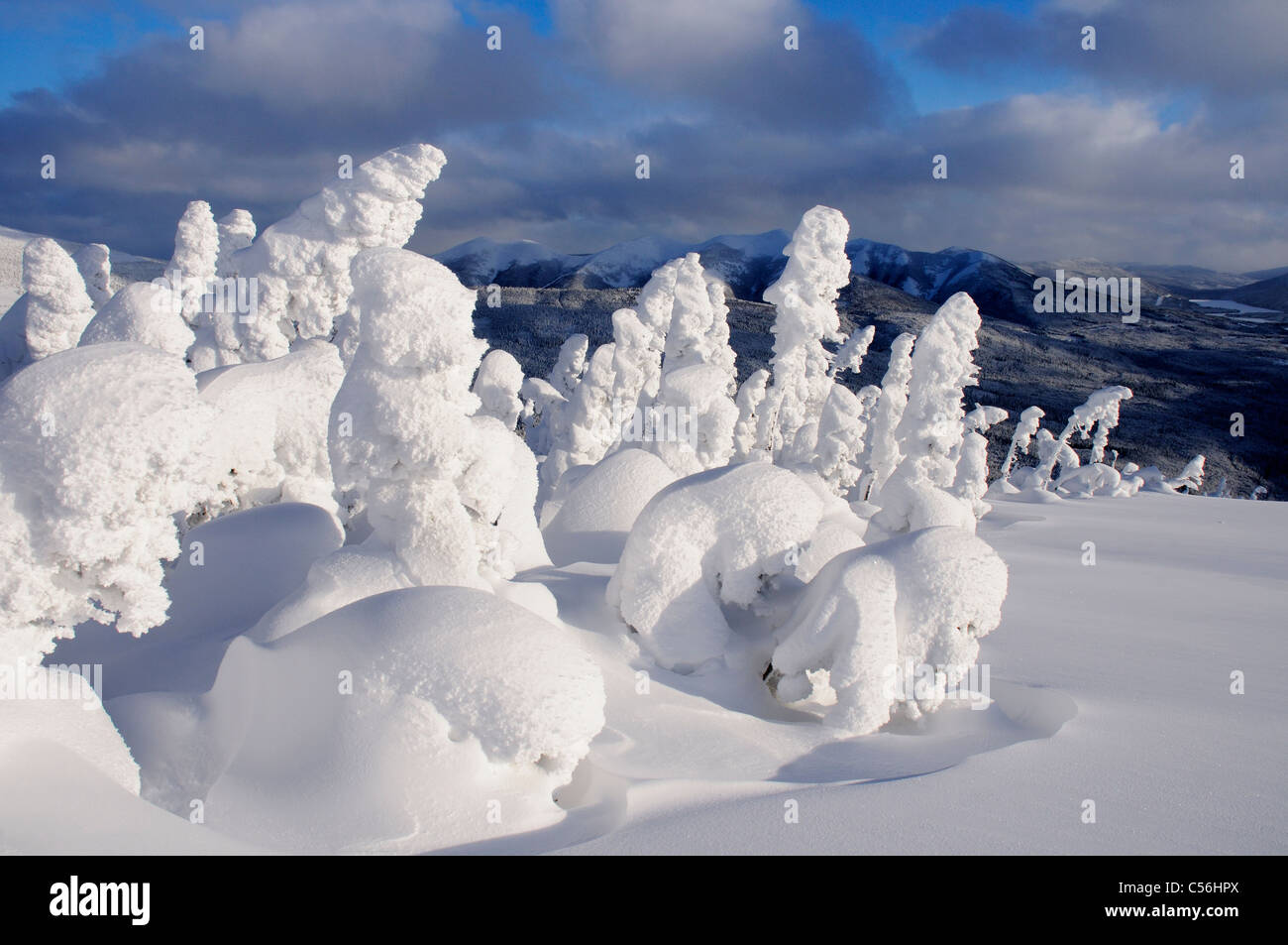 Parc de la gaspésie canada hi-res stock photography and images - Alamy