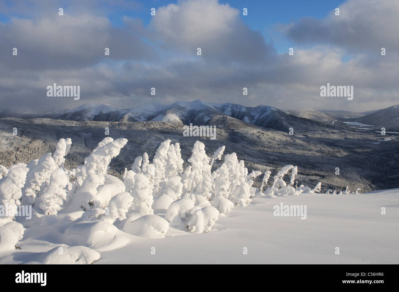 On the summit of Mont Hogsback in Winter in the Chic Chocs, Parc de la ...