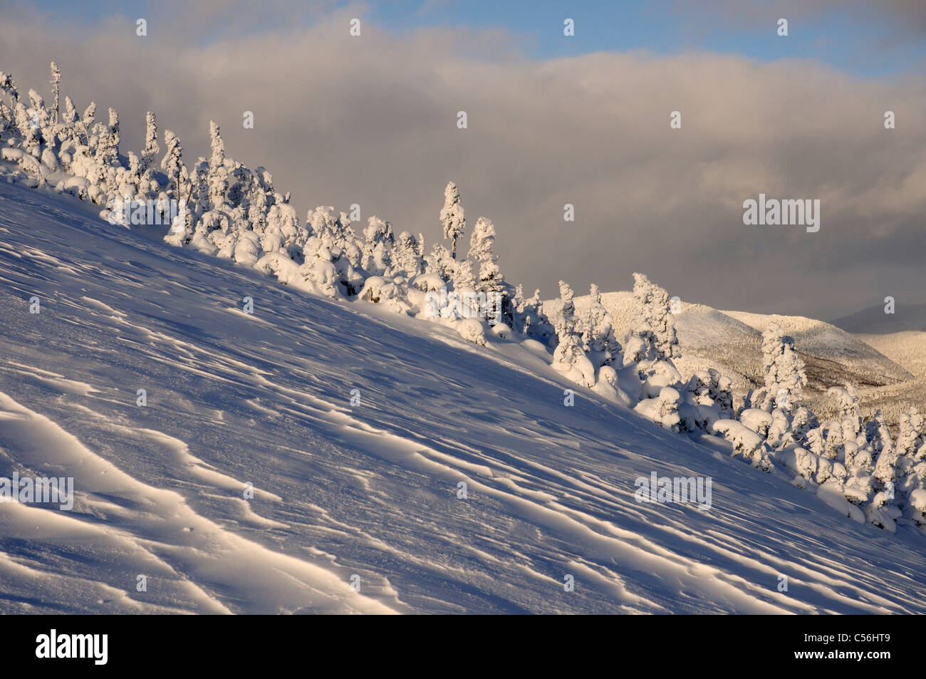 On the summit of Mont Hogsback in Winter in the Chic Chocs, Parc de la ...