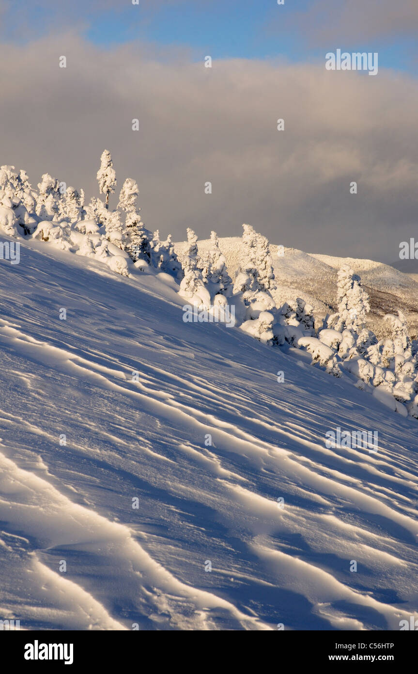 On Mont Hogsback in Winter in the Chic Chocs, Parc de la Gaspesie ...