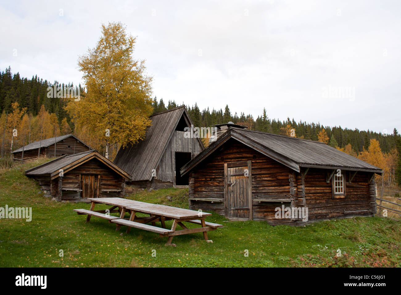 Old traditional wooden cabin in Sweden Stock Photo - Alamy