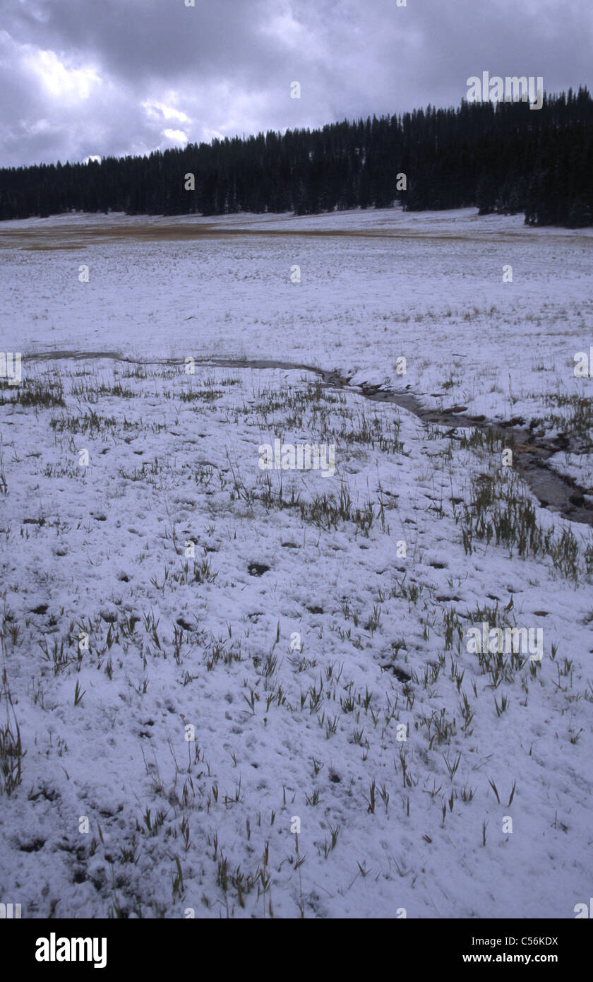 Summer snow, Utah, USA Stock Photo - Alamy