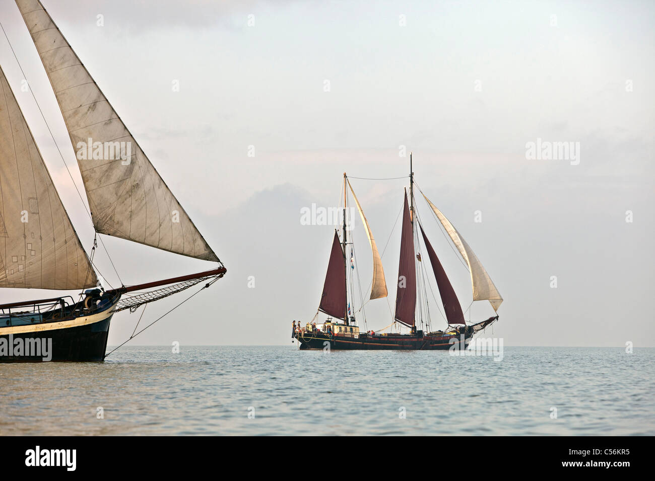 The Netherlands, Enkhuizen. Yearly race of traditional sailing ships ...