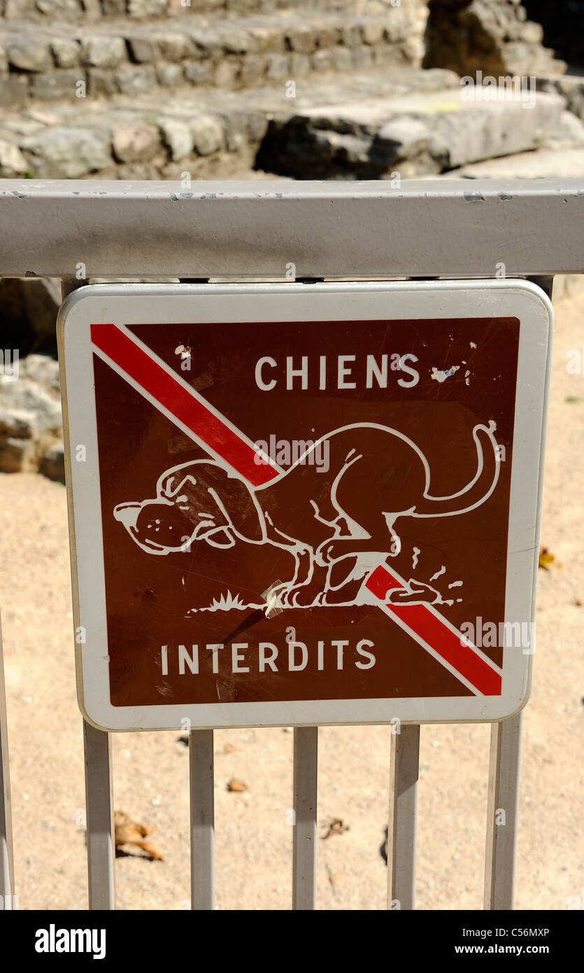 Sign for dogs Stock Photo - Alamy