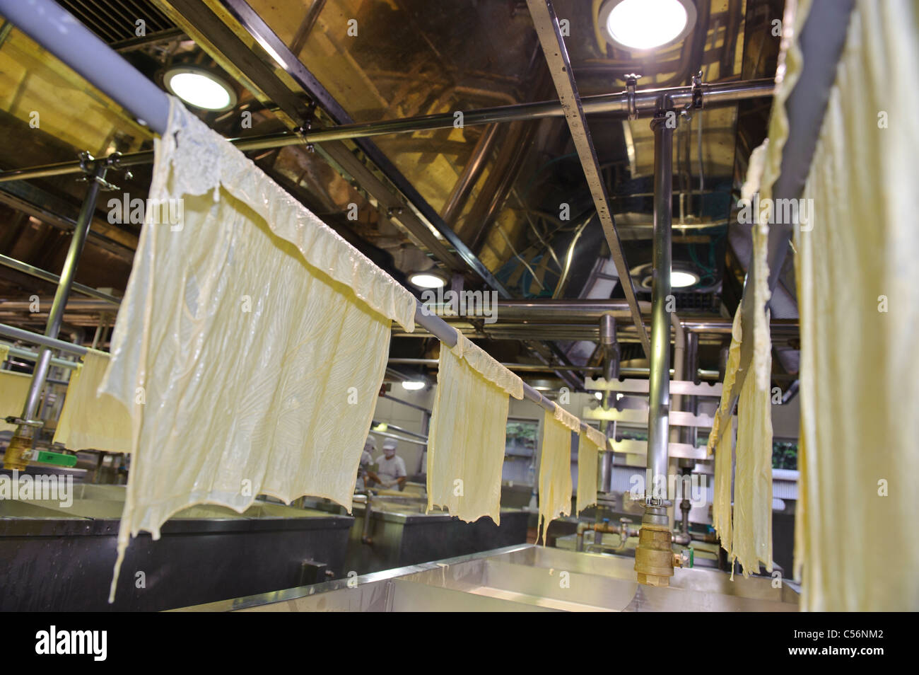 Freshly made yuba, Nikko Yuba, Ustunomiya, Tochigi pref, Japan, June 26 ...