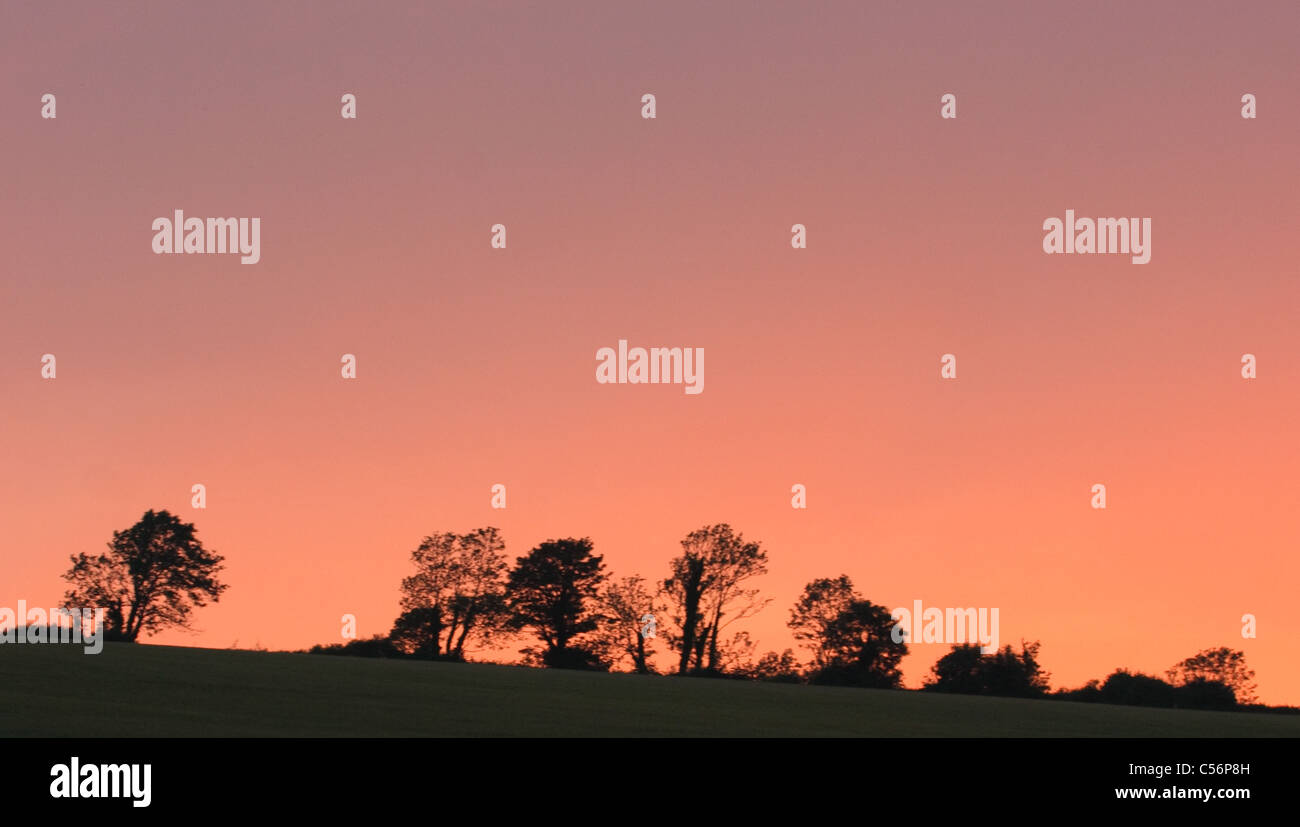 Pink sky at night in Devon UK Stock Photo - Alamy